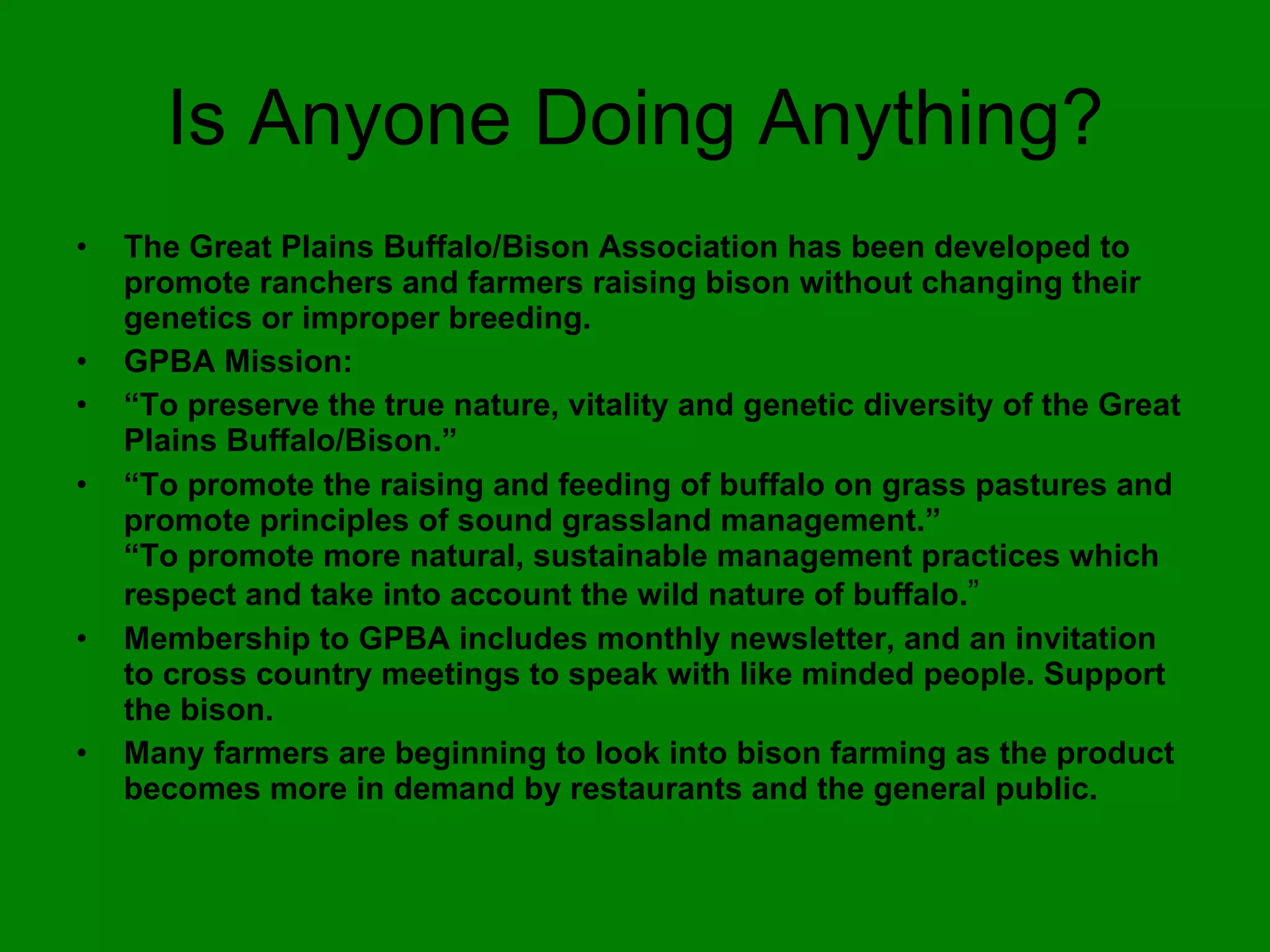 The Great Plains Bison | PPT