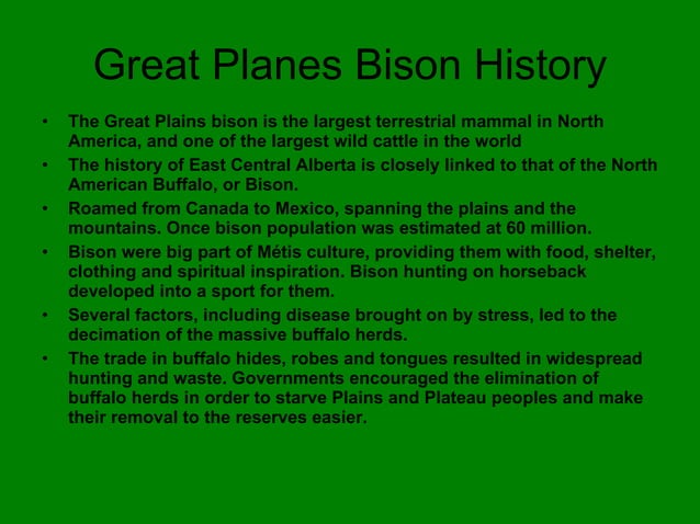 The Great Plains Bison | PPT