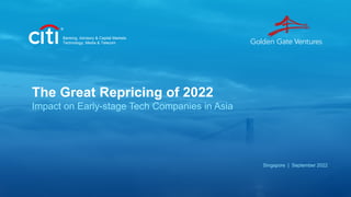 The Great Repricing of 2022.pdf