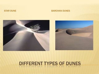 The Great Sand Dunes | PPTX