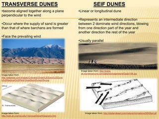 The great sand dunes | PPTX