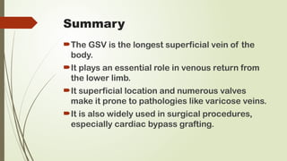 The Great Saphenous Vein ANATOMY by Abhishek.pptx