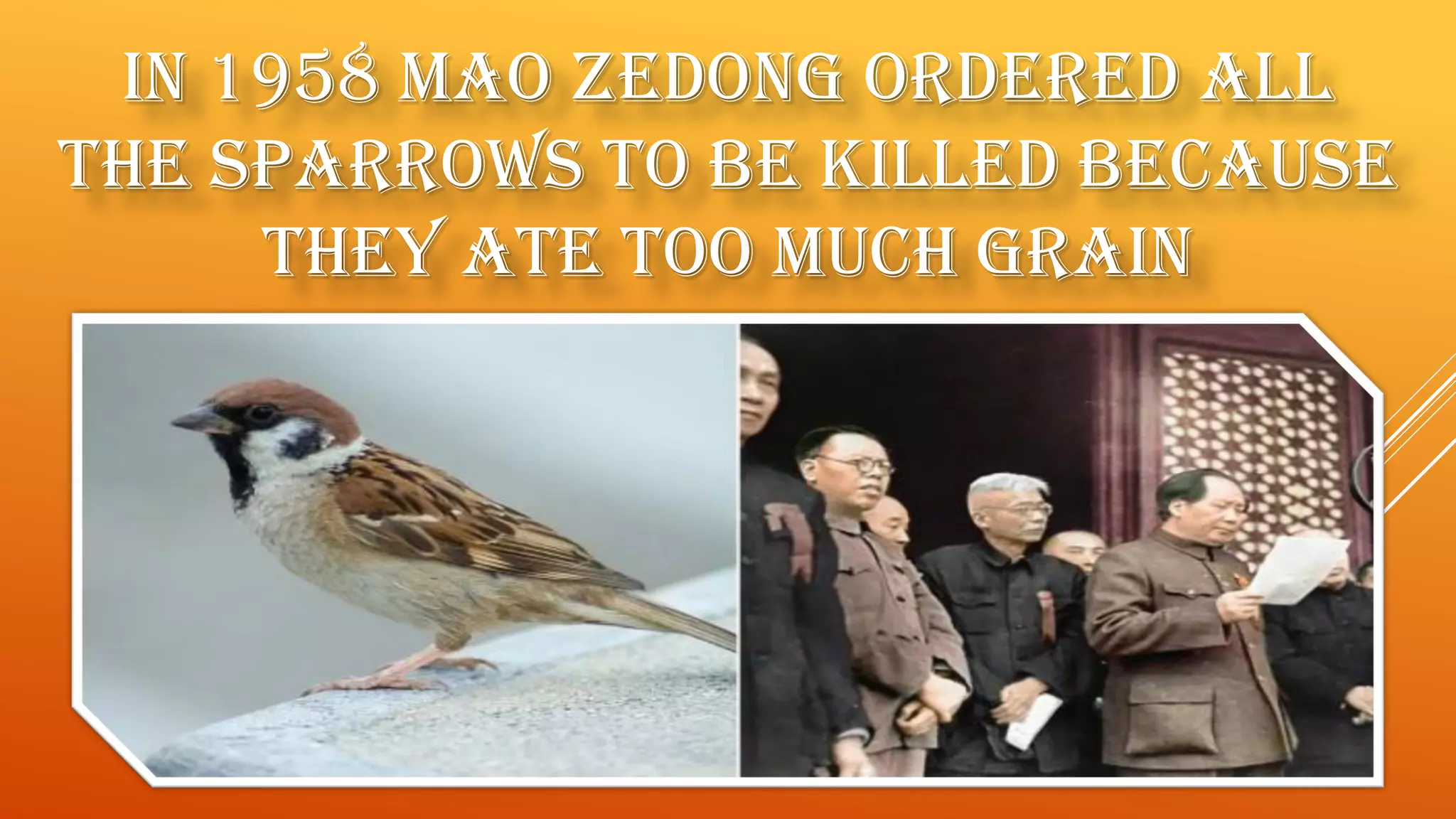 The Great Sparrow Campaign.pdf