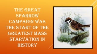 The Great Sparrow Campaign.pdf