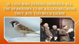 The Great Sparrow Campaign.pdf