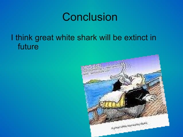 The great white shark | PPT