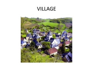 The greedy king and queen | PPT