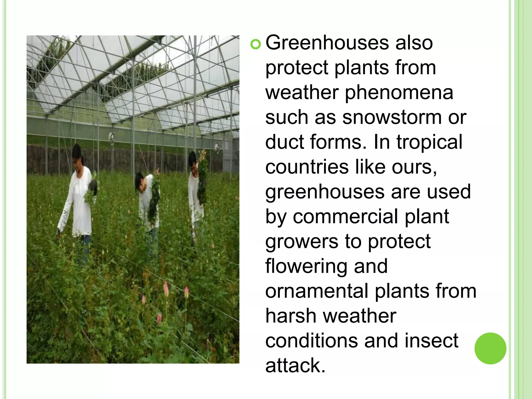 The greenhouse effect | PPTX
