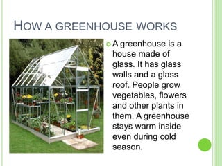 The greenhouse effect | PPTX