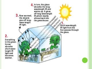 The greenhouse effect | PPTX