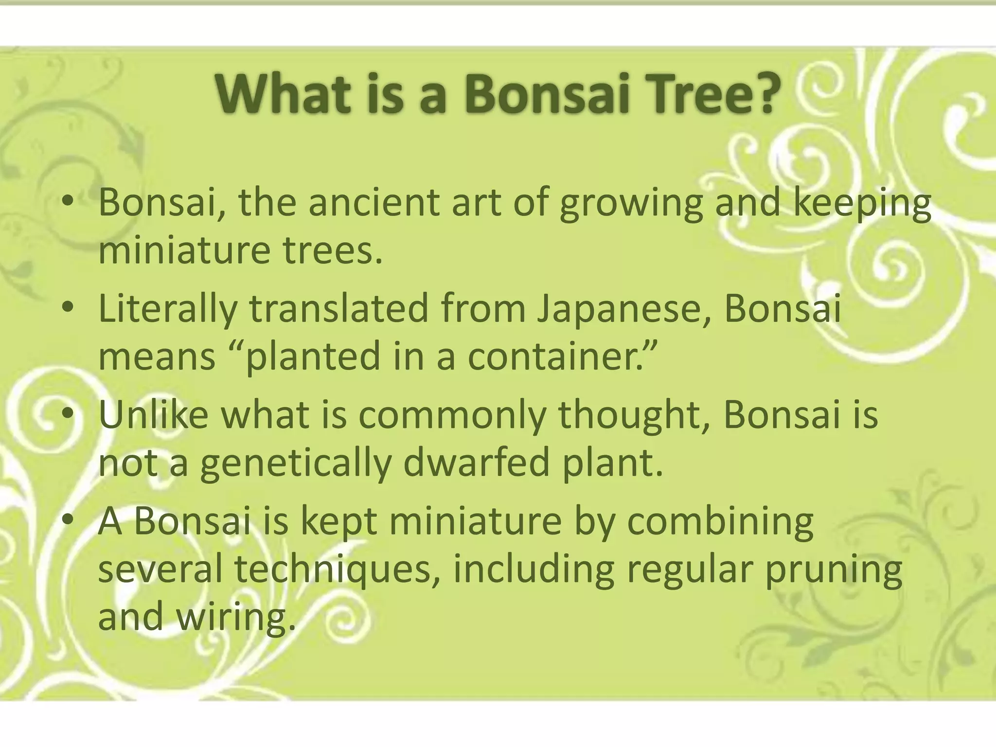The green journey of bonsai trees | PPTX