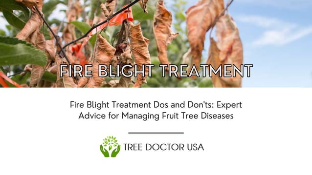 Expert Tips on Fire Blight Treatment: The Dos and Don'ts | PPT