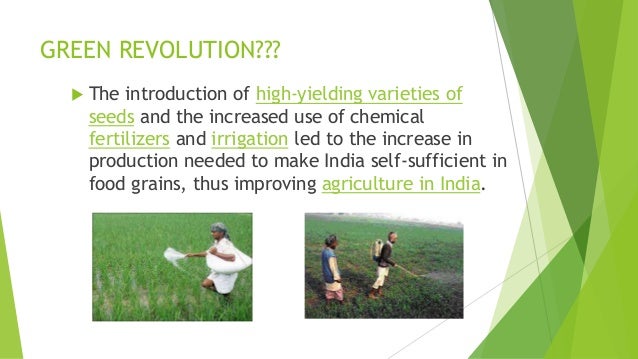 The green revolution in Punjab