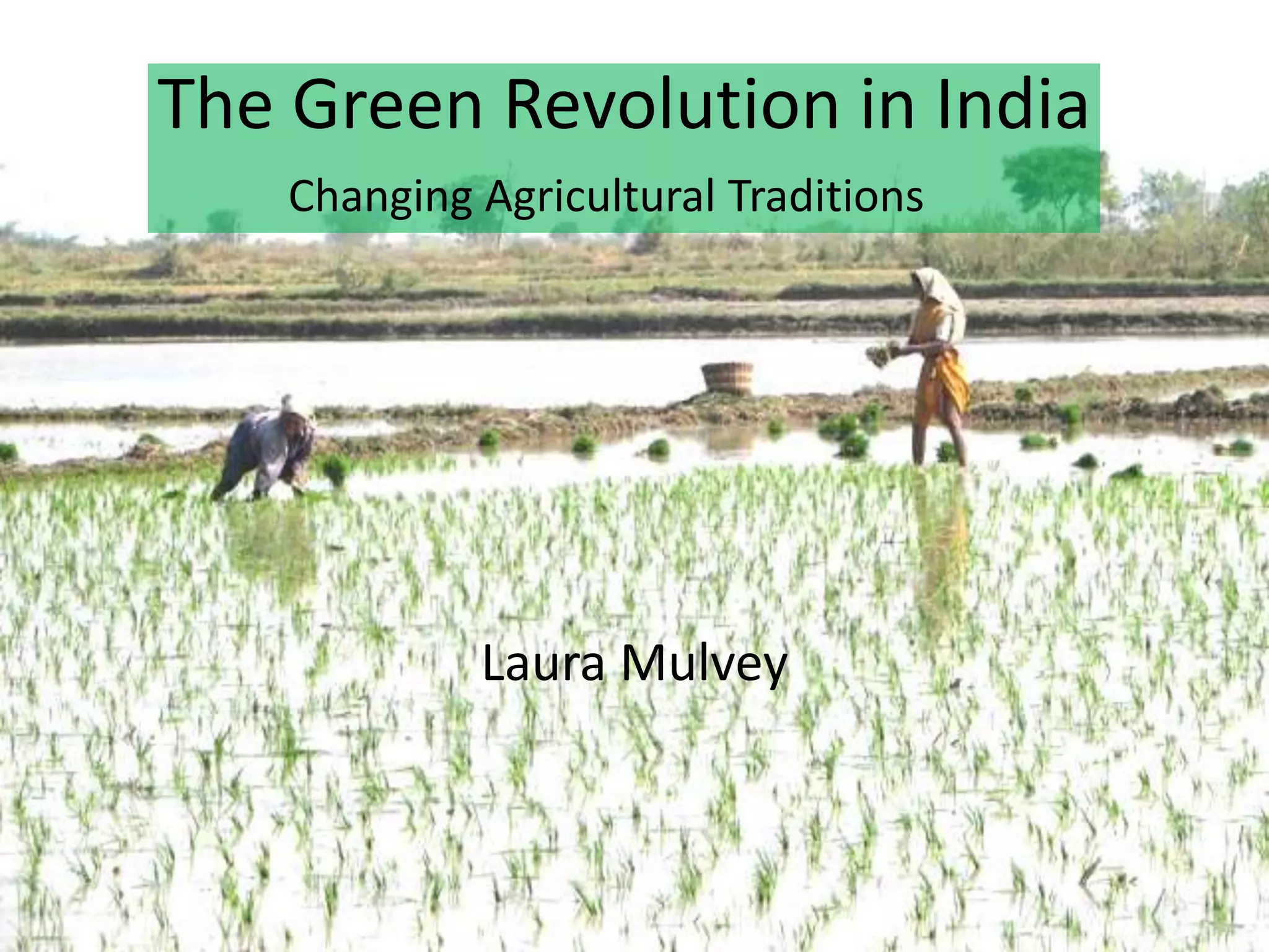 The Impact of the Green Revolution in India: Agricultural Change and ...