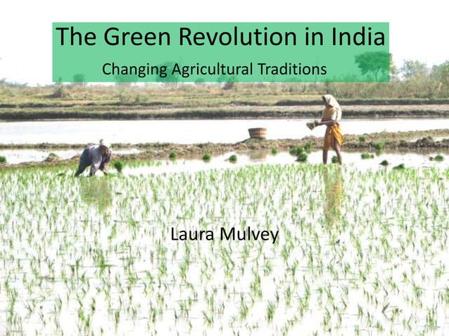 The Green Revolution In India | PPTX