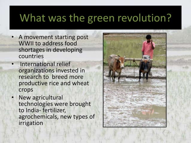 The Green Revolution In India | PPTX