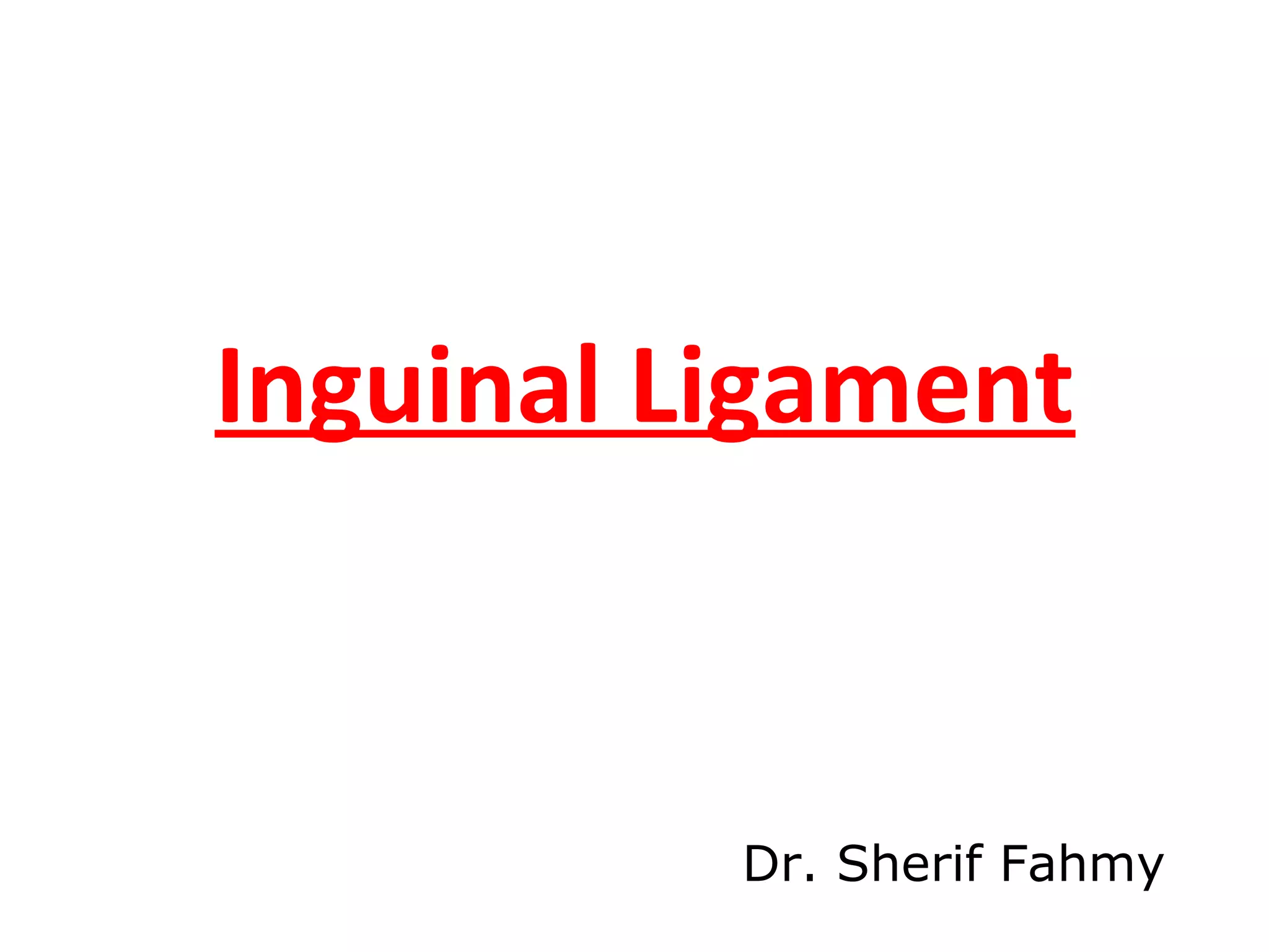 The Groin "Inguinal Region" (Anatomy of the Abdomen) | PPS