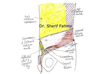 The Groin "Inguinal Region" (Anatomy of the Abdomen) | PPS