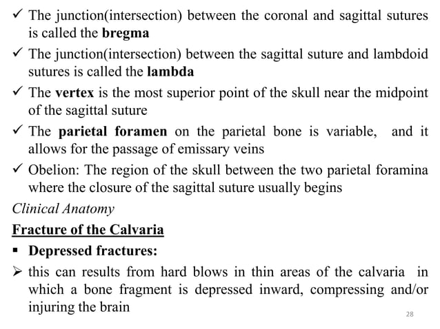 The gross anatomy of the head and neck lecture 3 | PPTX