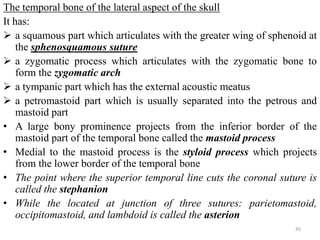 The gross anatomy of the head and neck lecture 3 | PPTX