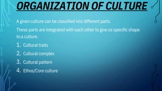Explanation of Culture by Shah Fahad 2319 | PDF
