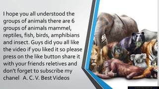 The groups of animals.pptx ---Avirat Goel | PPTX