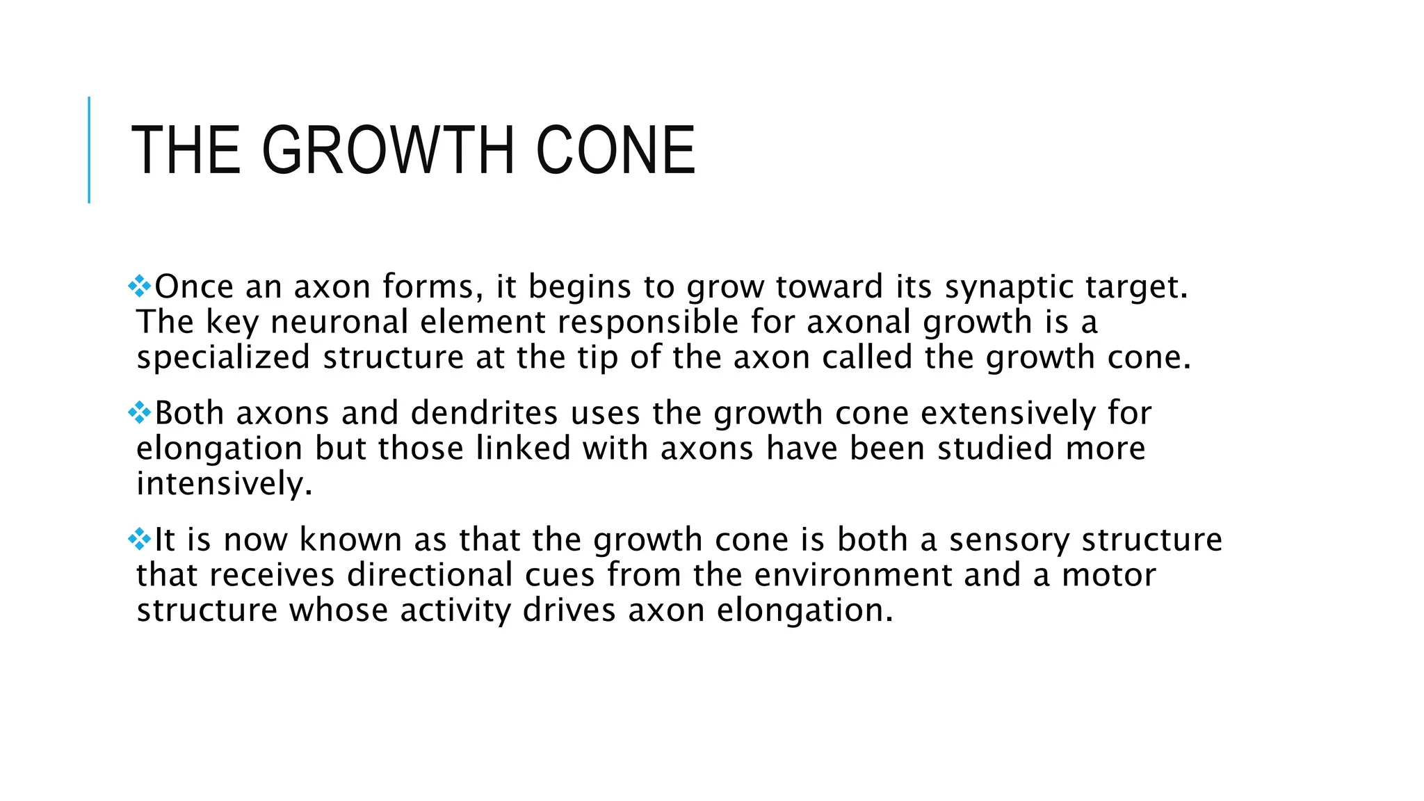 The growth and guidance of axons in body.pptx