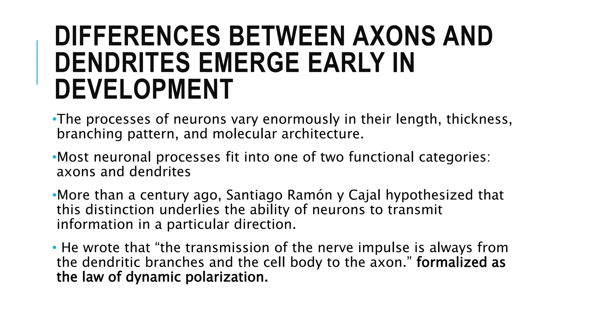 The growth and guidance of axons in body.pptx