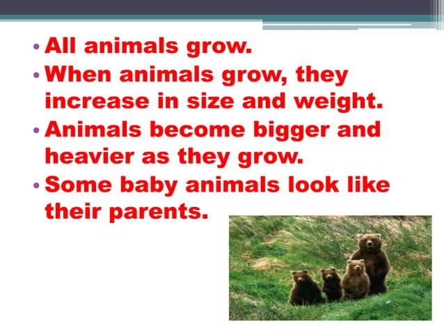 The growth of animals | PPTX