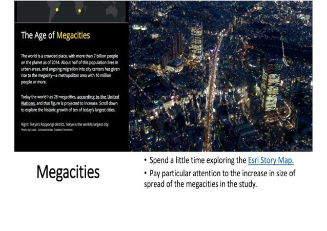 The Growth Of Megacities | PDF | Business | Business and Finance