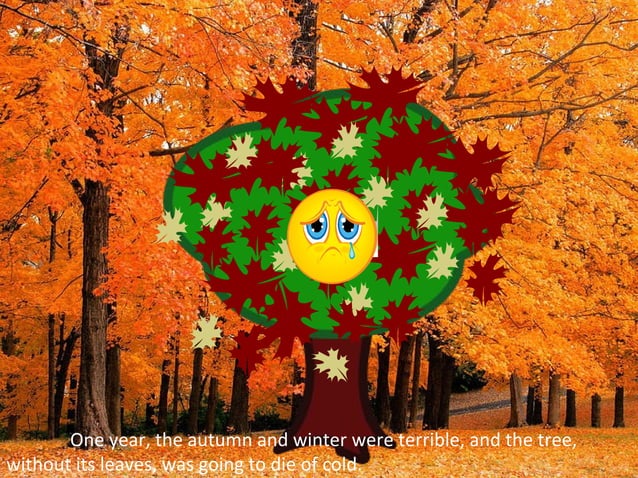 The Grumpy Tree | PPT