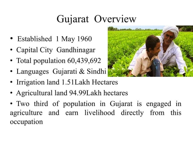 gujarat model | PPT