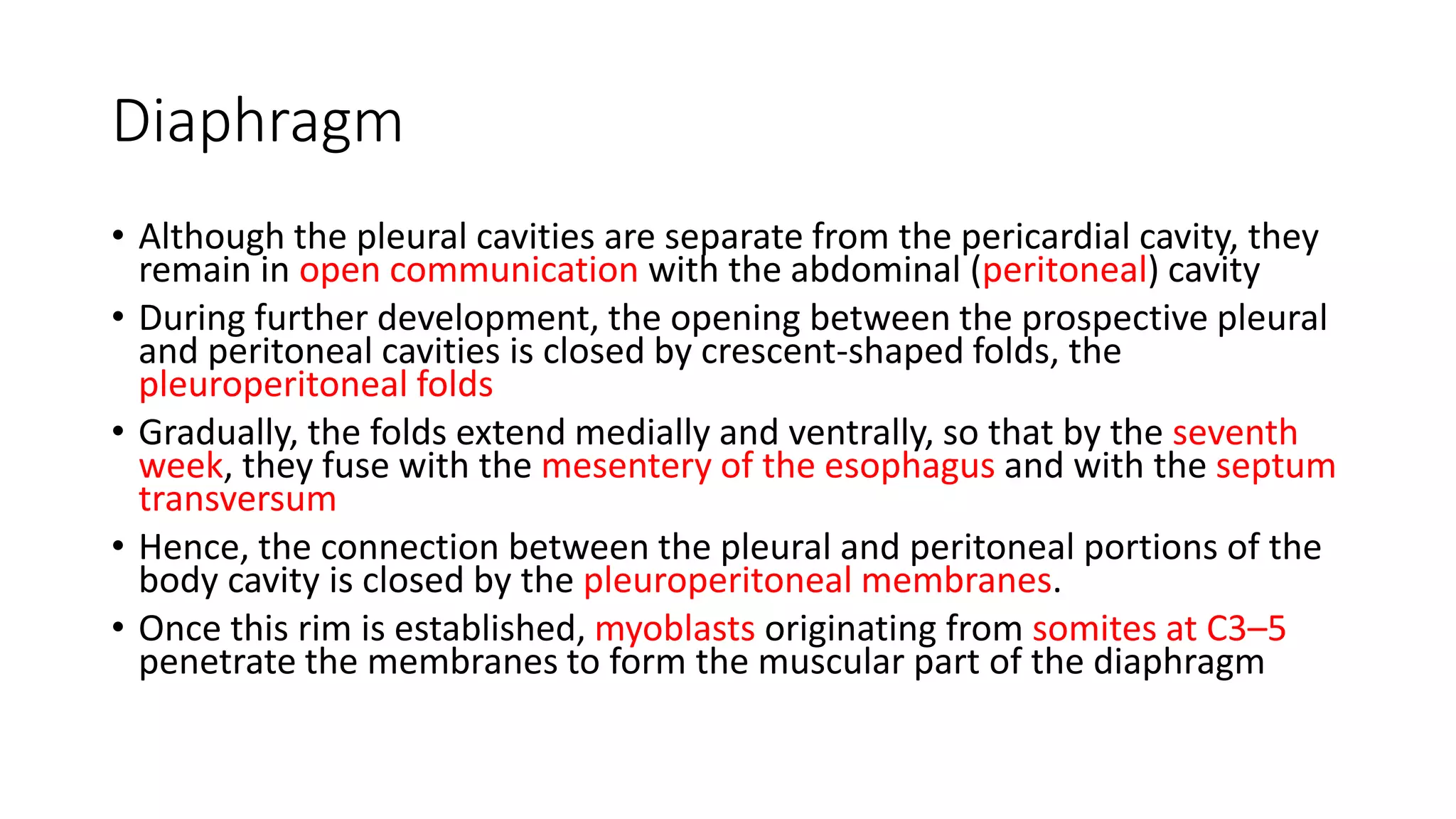 The Gut tube and body cavities.pptx