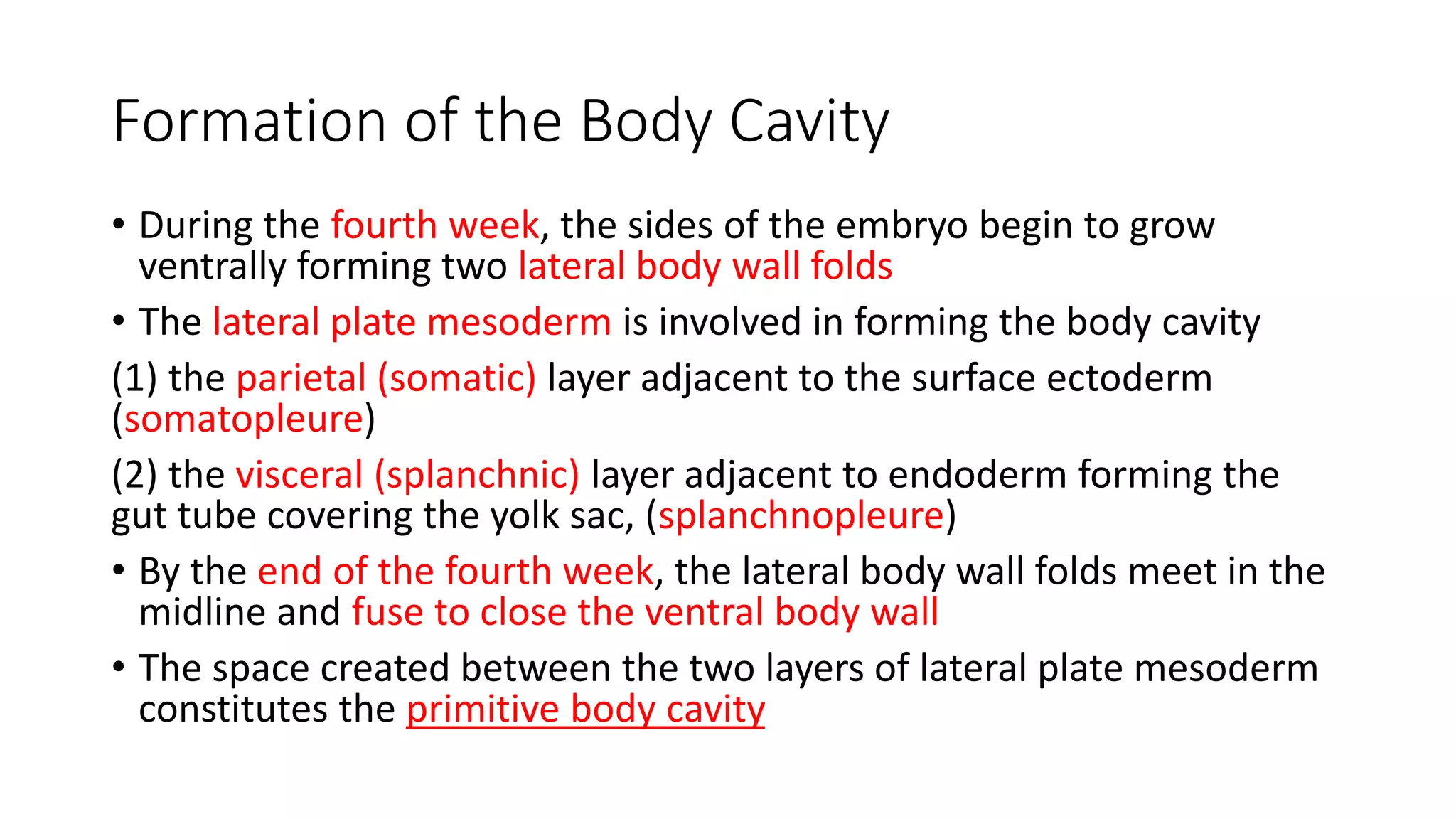 The Gut tube and body cavities.pptx