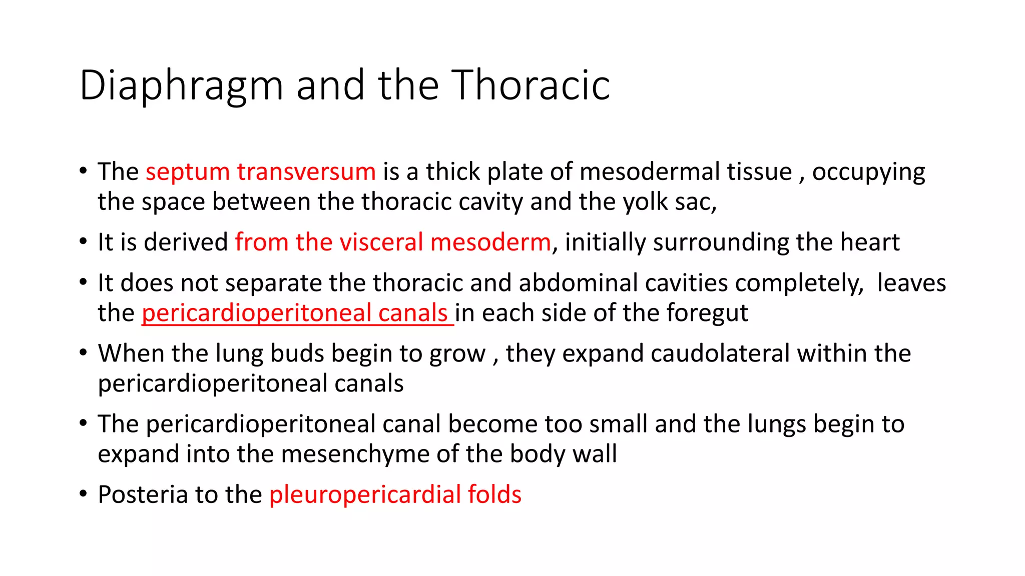 The Gut tube and body cavities.pptx