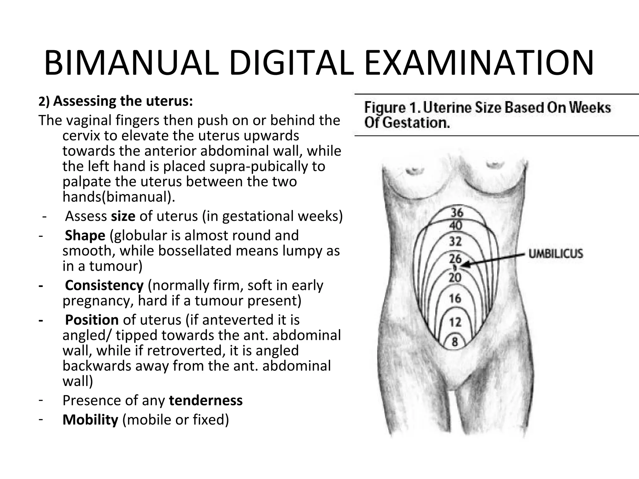 The gynaecological examination ppt | PPT