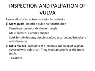 The gynaecological examination ppt | PPT