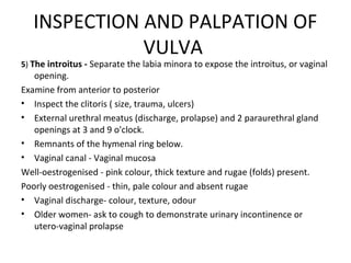 The gynaecological examination ppt | PPT