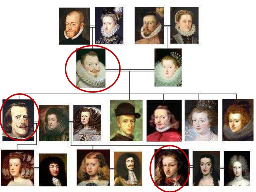 The habsburg dynasty