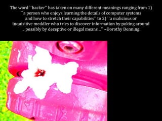 The Hacker Perspective | PPTX