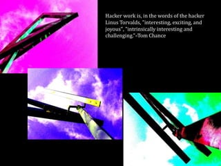 The Hacker Perspective | PPTX