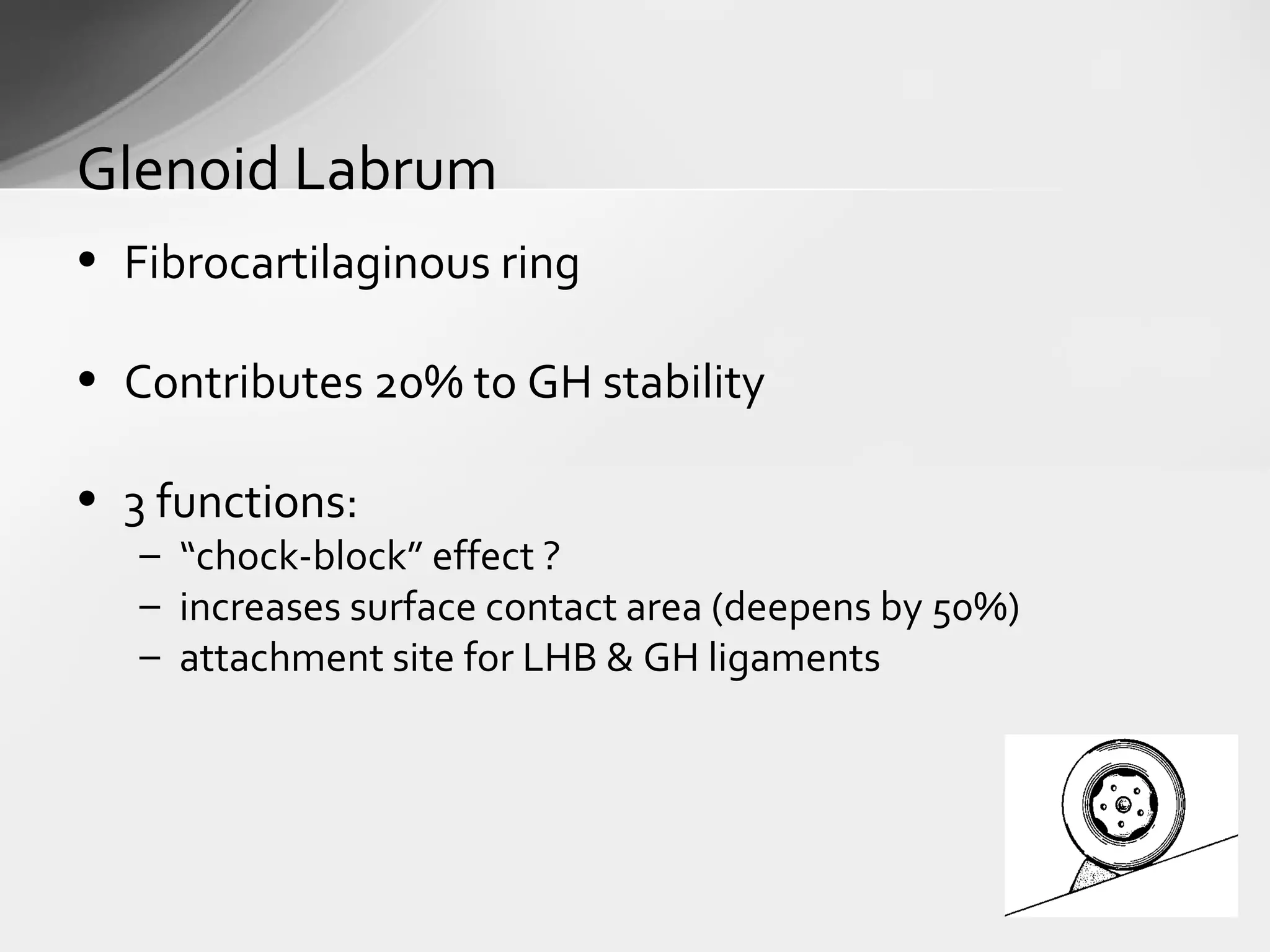 The HAGL lesion | PPT