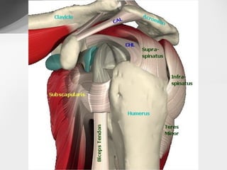 The HAGL lesion | PPT