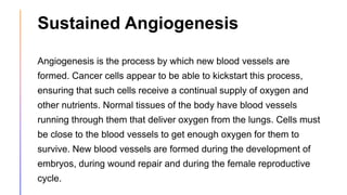The Hallmarks of Cancer.pptx
