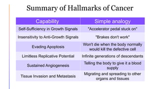 The Hallmarks of Cancer.pptx