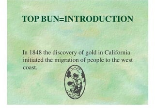 The Hamburger Model | PDF