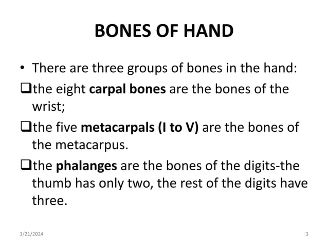 THE GROSS ANATOMY OF THE HAND PPPPTT.pptx