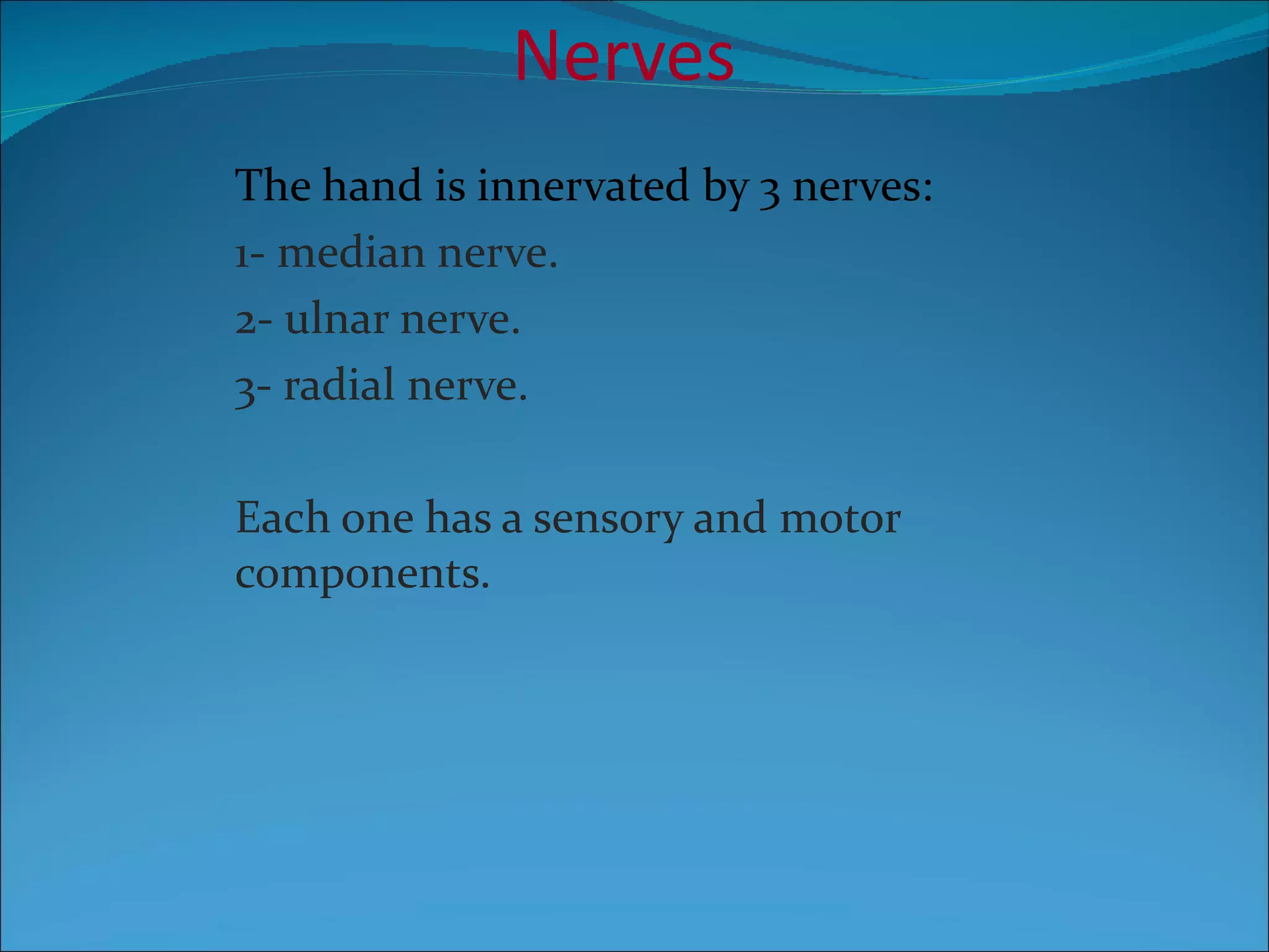 The Hand Anatomy Part 1 | PPT