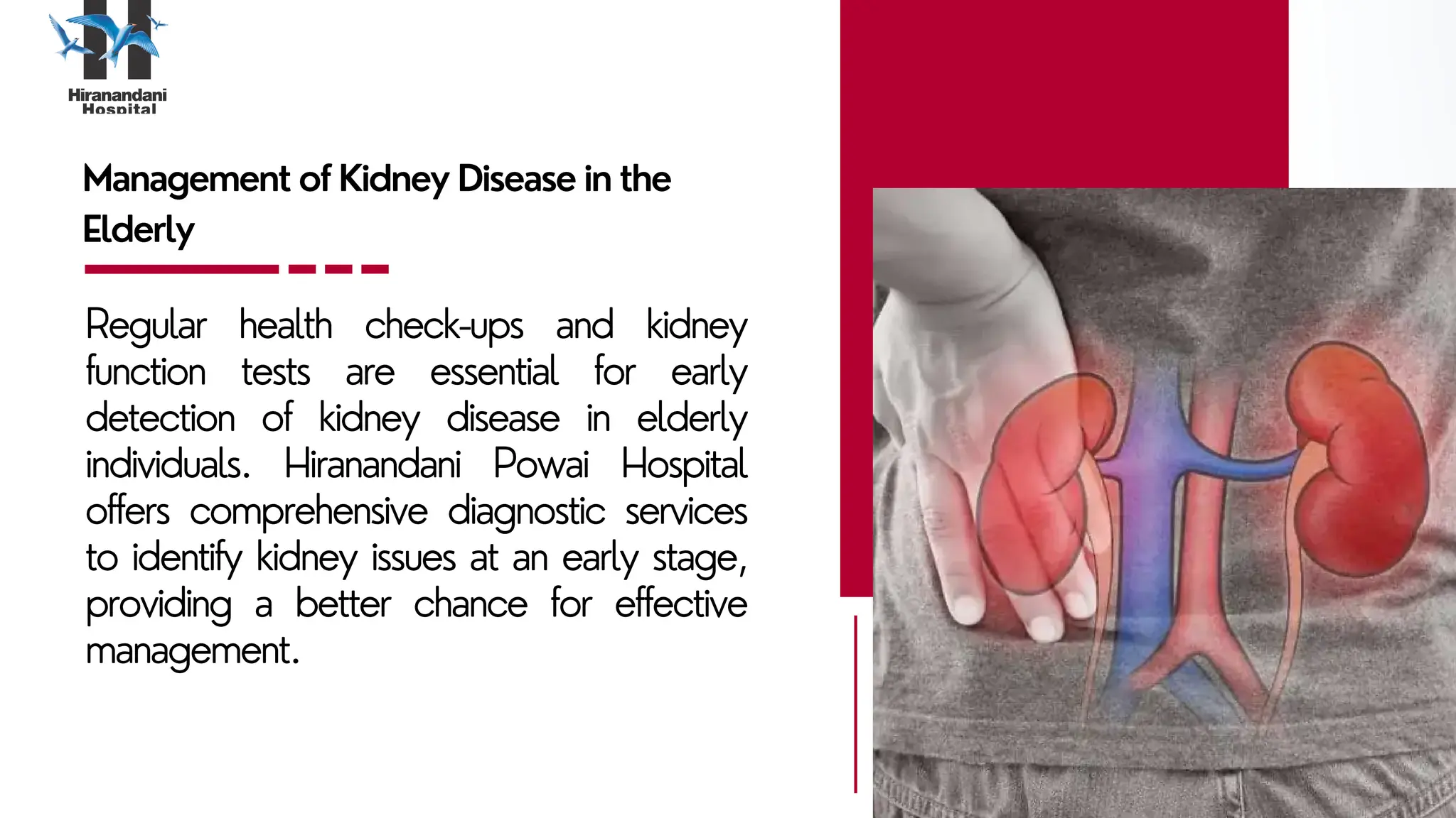 Kidney Disease In Elderly People | PDF