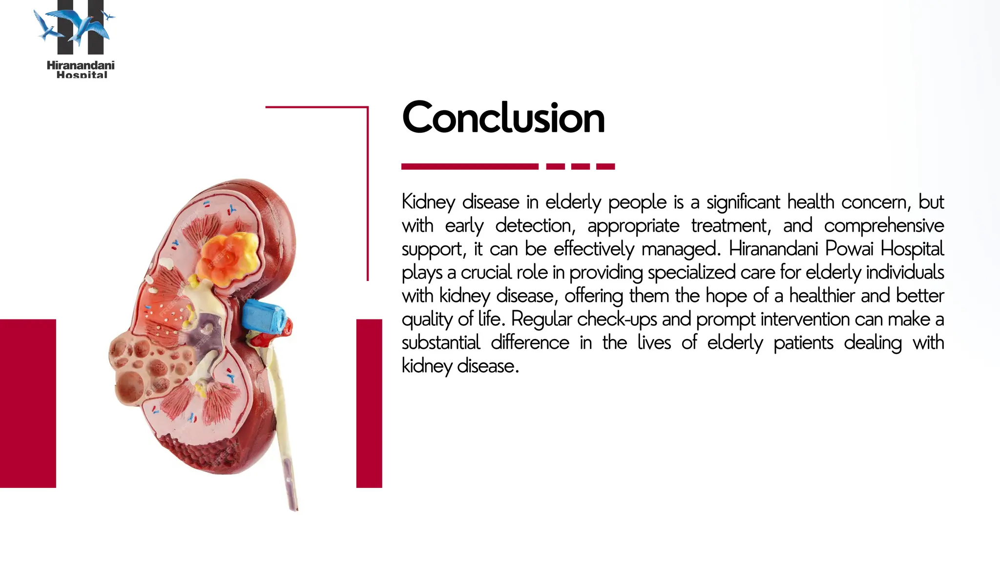Kidney Disease In Elderly People | PDF
